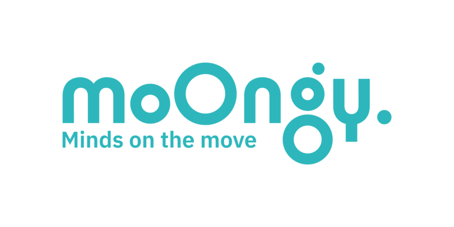 HIQ Consulting passa a chamar-se MoOngy e projeta crescimento – Executive Digest