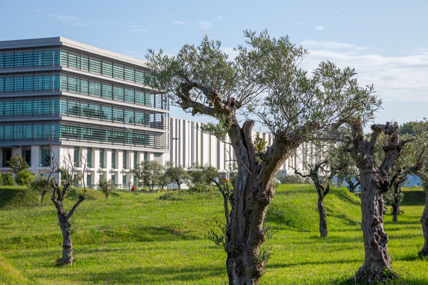 Worten e Sierra juntam-se a outras empresas Sonae no compromisso “Zero ...